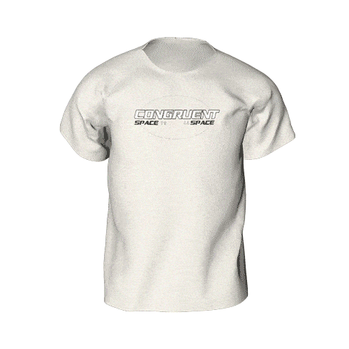 Tokyo Grid – Congruent Space